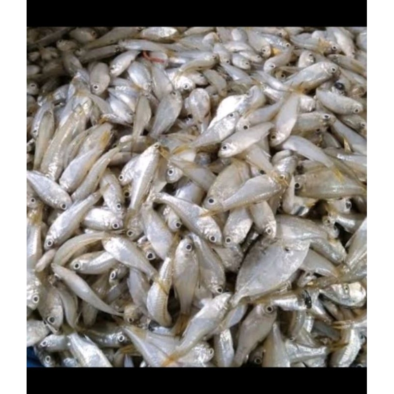 Jual IKAN WADER SEGAR 1KG Tanpa Bumbu / dg bumbu kuning/marinasi/Crispy ...