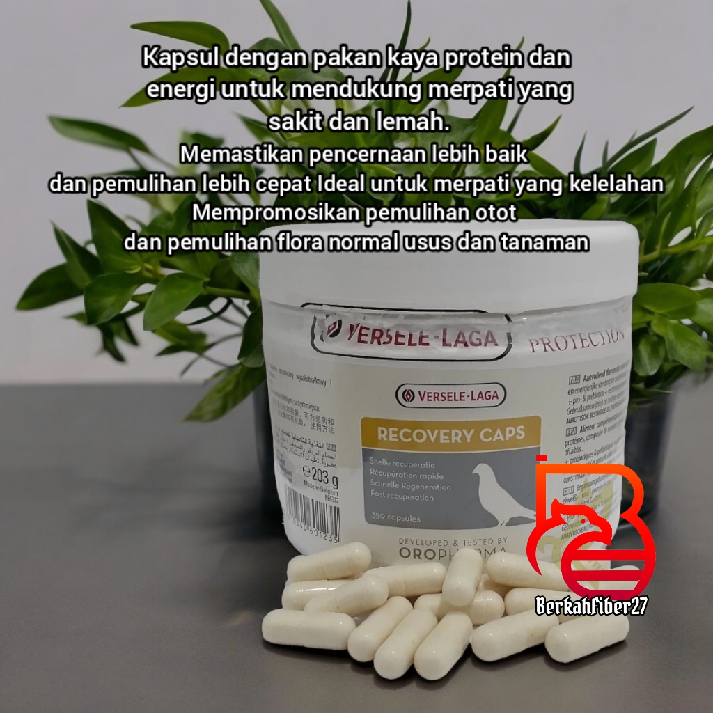 Jual Recovery Caps 10 Capsule Recovery Sakit/Kelelahan Penerbangan ...
