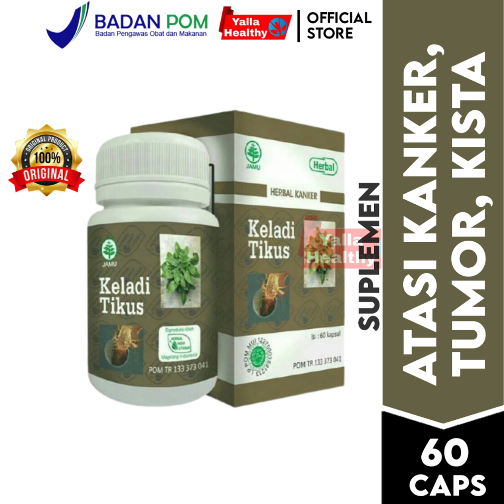 Jual Kapsul Keladi Tikus Hiu Obat Kanker Tumor, Nyeri, Kista, Miom ...