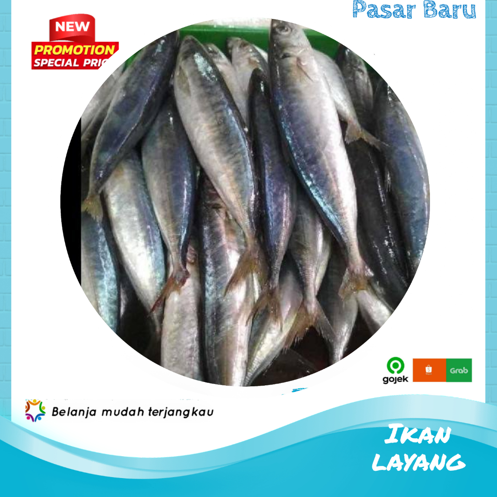 Jual Ikan Layang • Isi 3 Tergantung Ukuran Murah | Pasar Baru Makassar ...