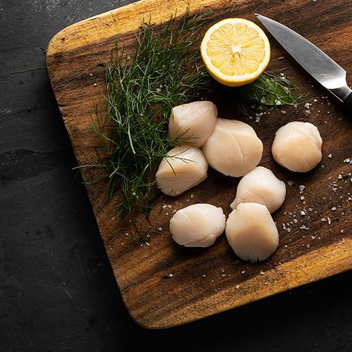 Jual Scallop US Frozen JUMBO size 200 gram & 1 Kg /Pack | Shopee Indonesia