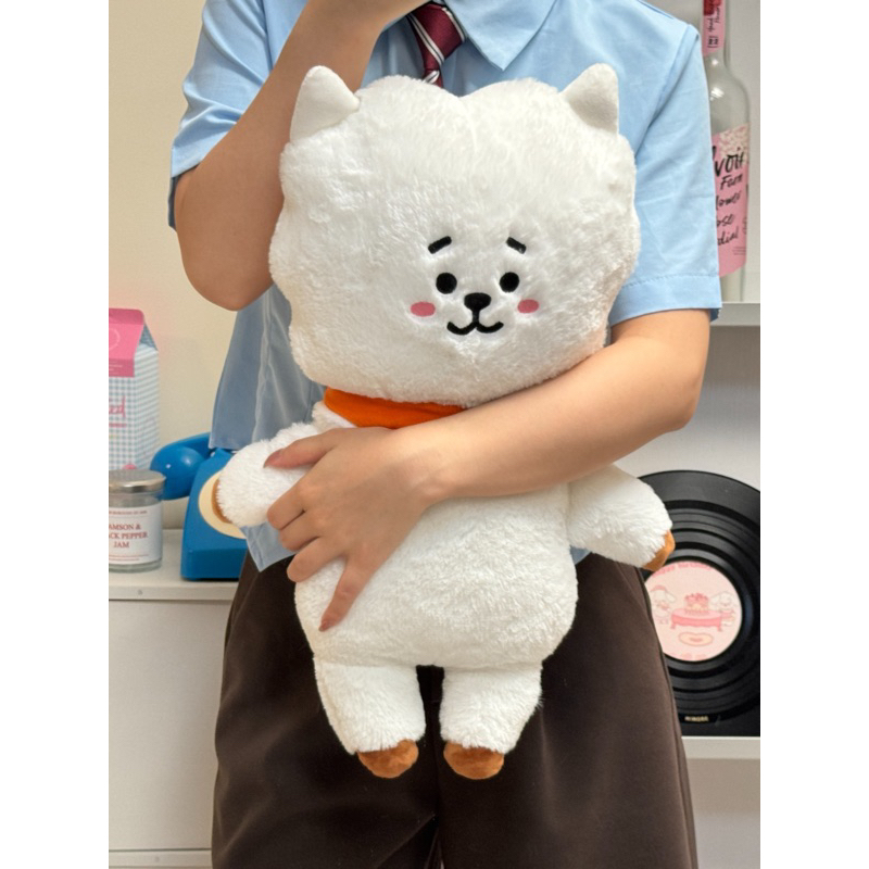 Jual Miniso X BT21 Collection Boneka Full Body | Shopee Indonesia