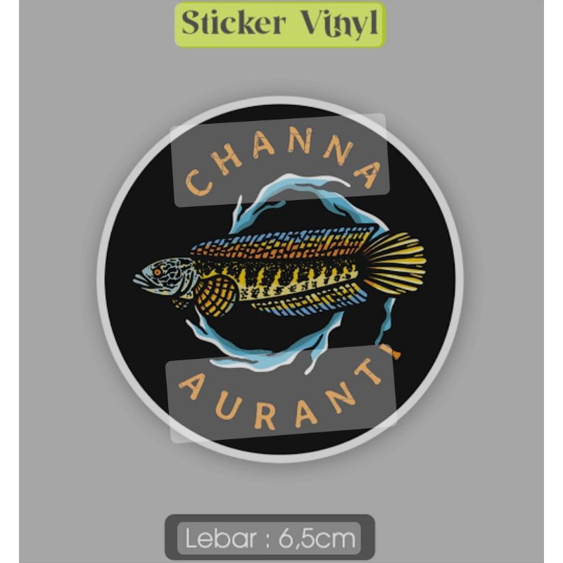 Jual Sticker Channa Auranti Maculata | Shopee Indonesia
