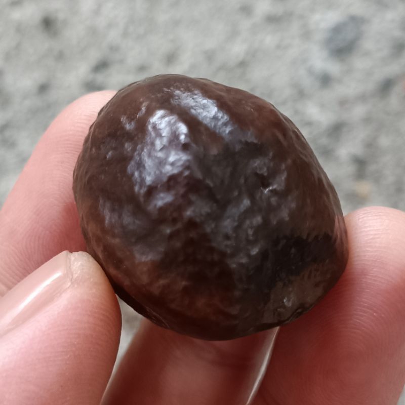 Jual Muncang adu jayanti Tebal ori garut | Shopee Indonesia