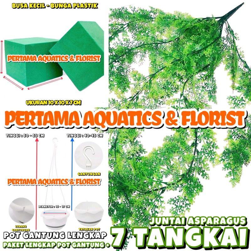 Jual PAKET LENGKAP POT JUNTAI ASPARAGUS X7/ Bunga Hiasan Dinding/ Bunga ...