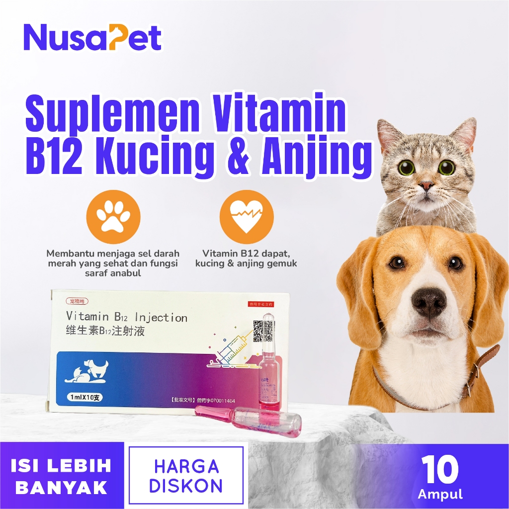 Jual Vitamin Kucing B12 - Vitamin Anjing B12 - Vitamin Kucing agar ...