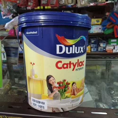 Jual CAT TEMBOK DULUX CATYLAC 5KG INTERIOR PAINT | Shopee Indonesia