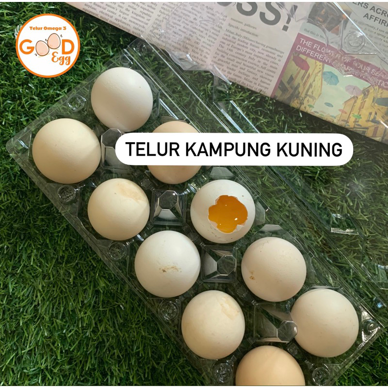 Jual [10butir] - Telur Ayam Kampung Biasa / Telur Kampung Kuning Good ...