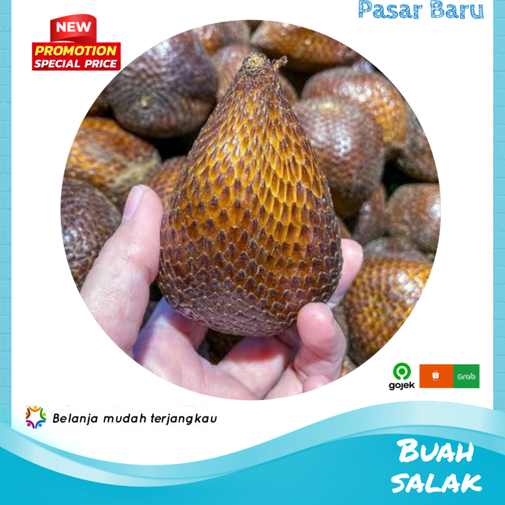 Jual Buah Salak • Murah | Pasar Baru Makassar | Shopee Indonesia