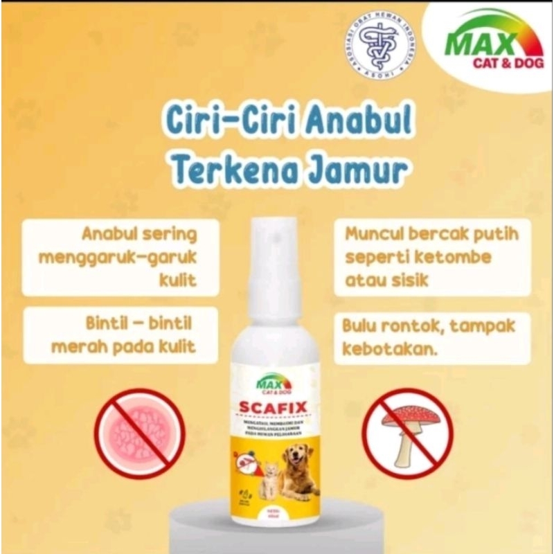 Jual OBAT JAMUR DAN SCABIES MAX SCAFIX 60ML Anti Jamur Kucing Spray ...