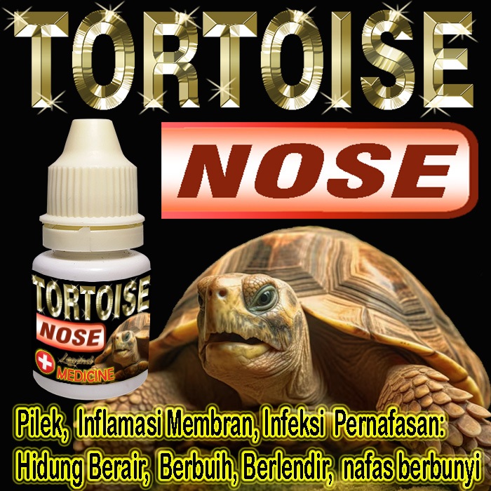 Jual NEW TORTOISE NOSE OBAT SULCATA PILEK MENGOBATI PENYAKIT PERNAPASAN ...