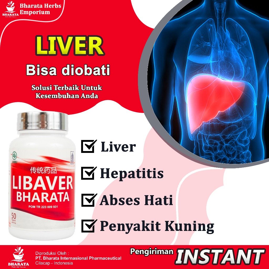 Jual Obat Hepatitis Liver Abses Hati Penyakit Kuning Libaver Bharata ...
