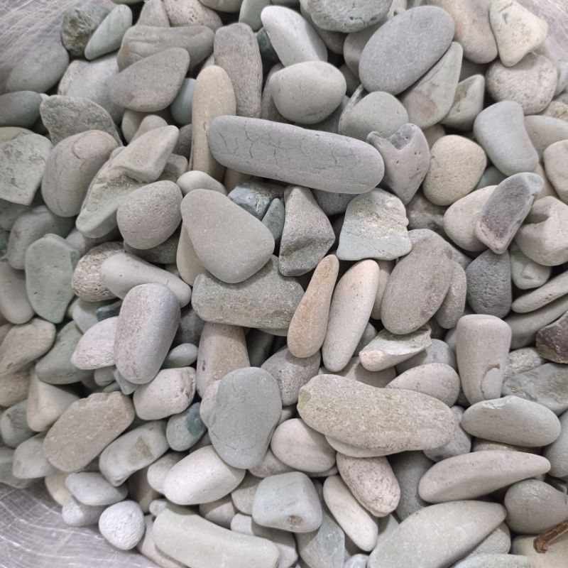 Jual Batu Hijau Taman Flores 1kg / Batu Coral Hijau Flores / Batu Kupang Hijau / Batu Flores ...