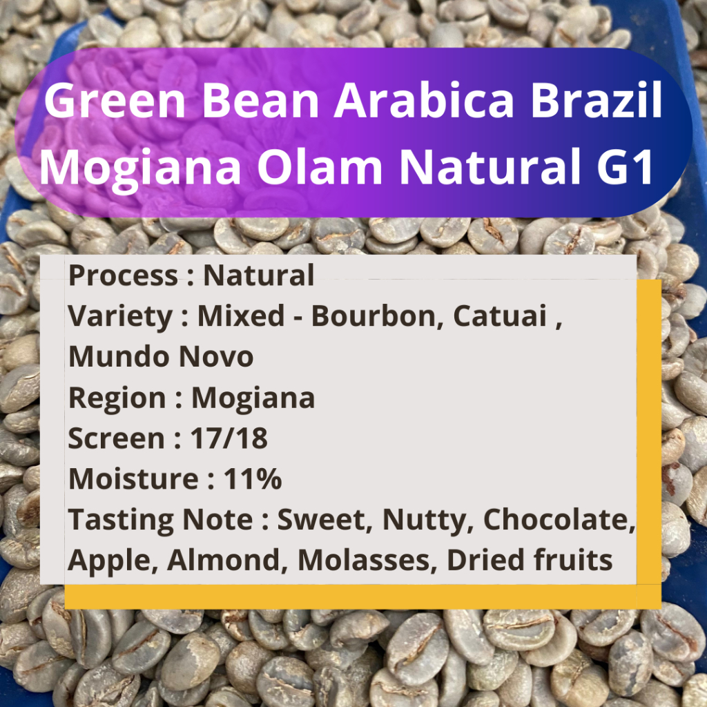 Jual Kopi Green Bean Arabica Brazil Mogiana Olam Natural G1 1KG kopi mentah | Shopee Indonesia