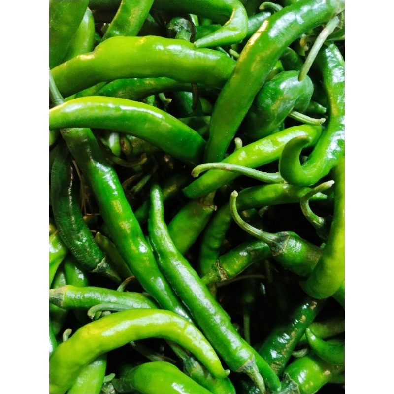 Jual 1 kg cabe besar hijau super fresh panjang campur. | Shopee Indonesia