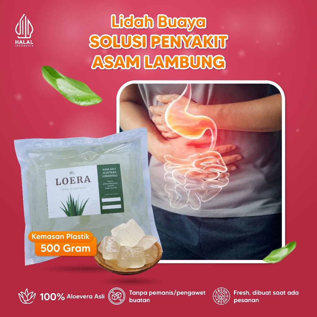 Jual Obat Herbal Asam Lambung Gerd Maagh Aloevera Lidah Buaya Kupas ...