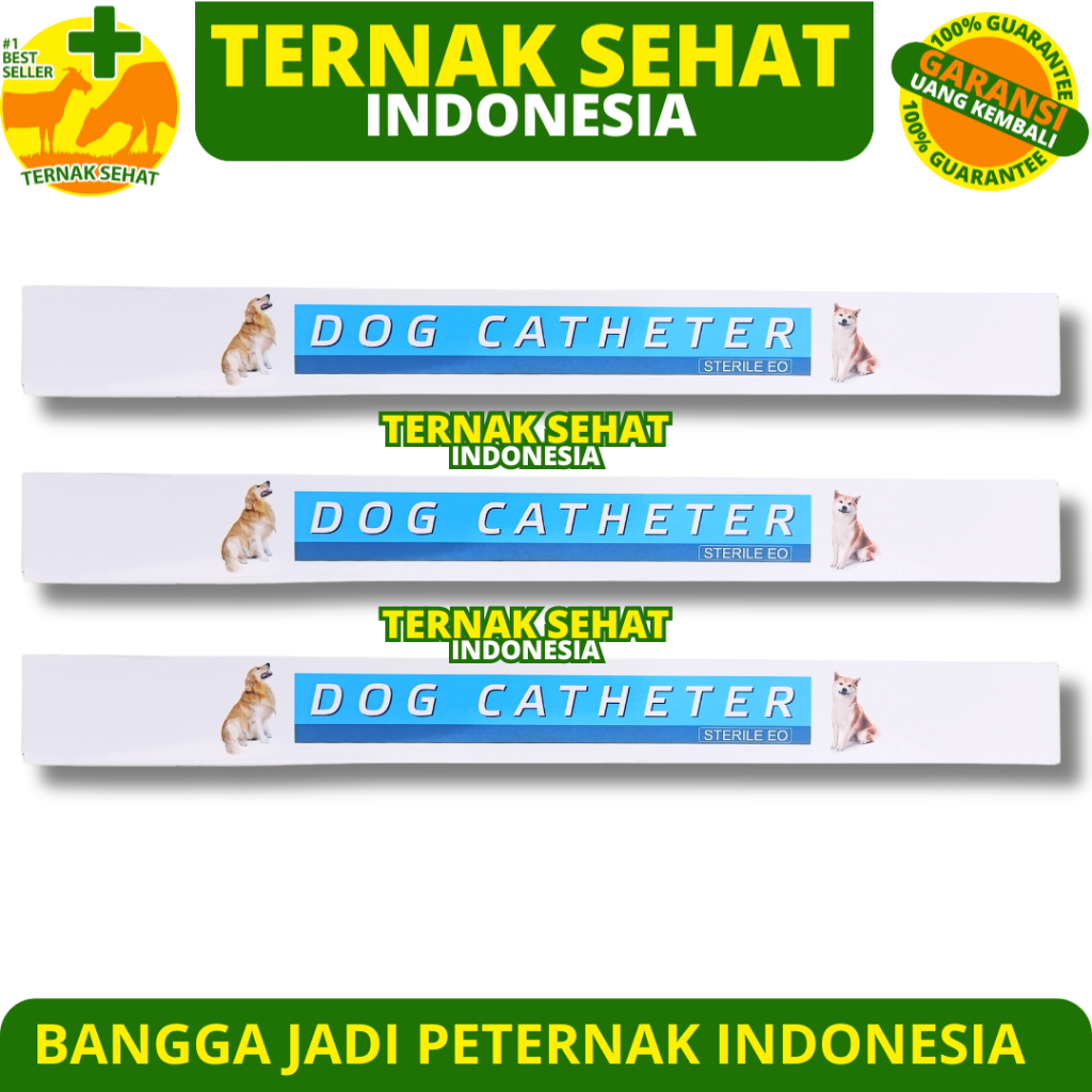 Jual KATETER ANJING WITHOUT STYLET - Kateter Urine Anjing Dog Catheter ...