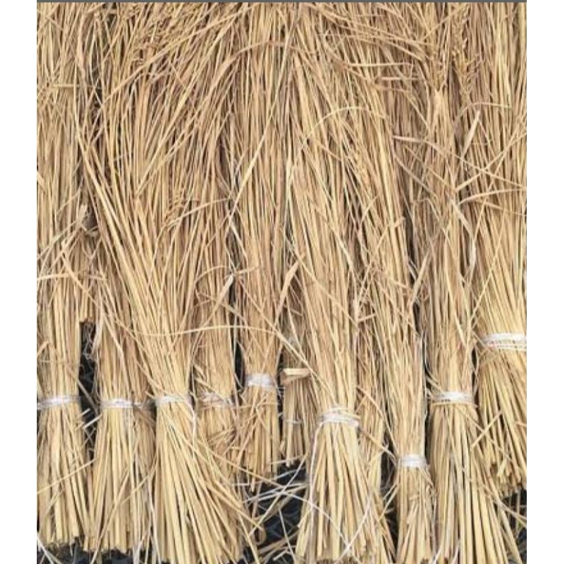 Jual jerami padi kering 1 iket besar 500gram | Shopee Indonesia
