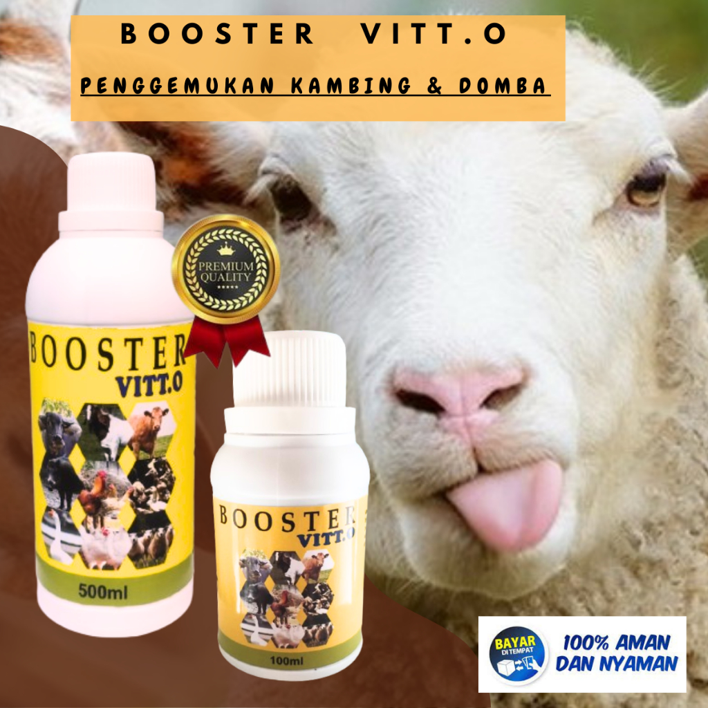 Jual Vitamin Penggemuk kambing Penggemuk Domba Obat Nafsu makan Kambing ...