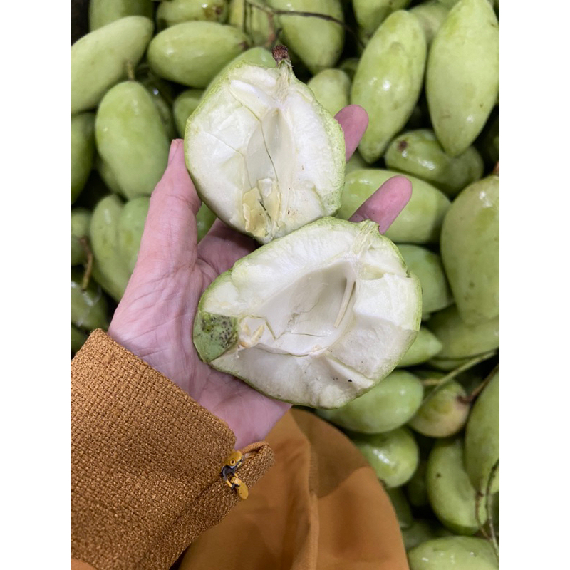 Jual (500gram) mangga rujak asem kecil kecil 500gram | Shopee Indonesia