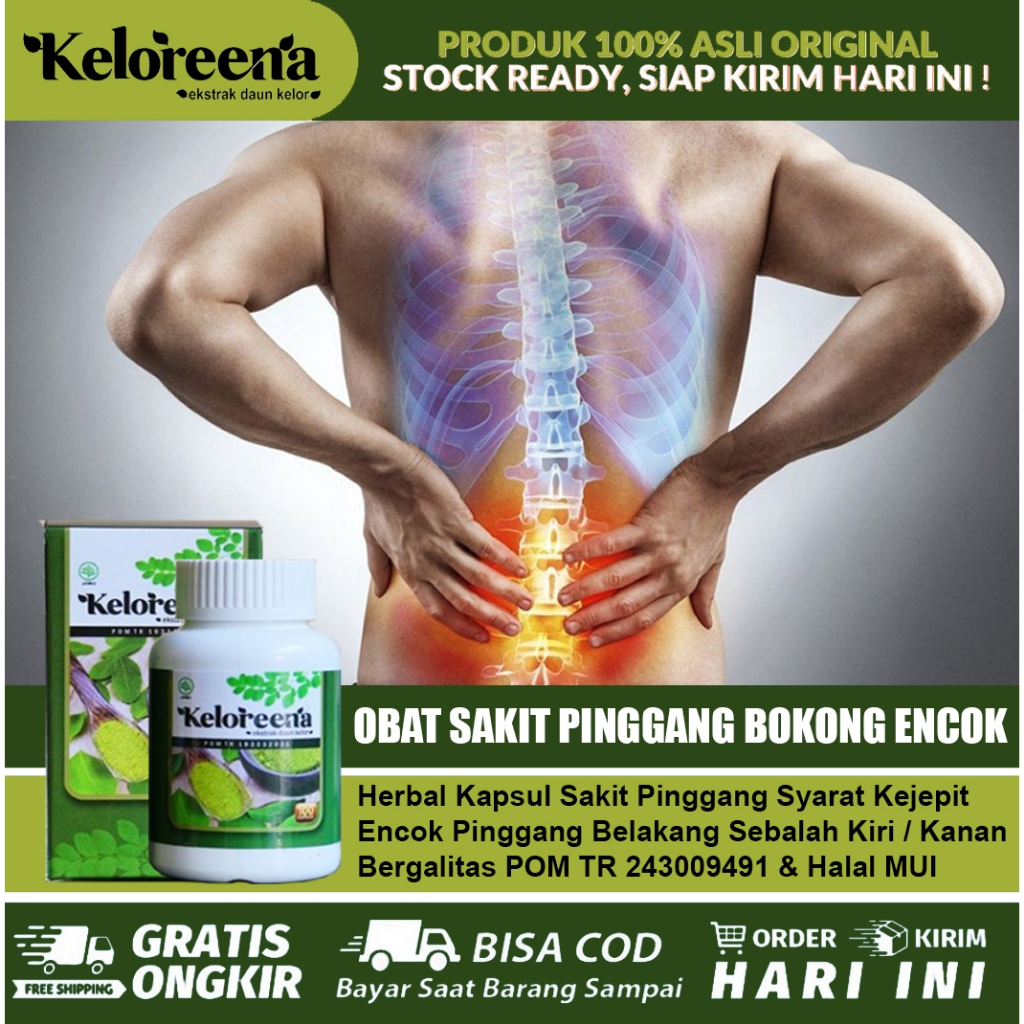 Jual Obat Sakit Pinggang Belakang Pingga Sakit Bokong Saraf Kejepit Dan ...