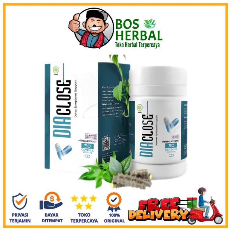 Jual DIACLOSE ASLI OBAT INSULIN PANKREAS DIABETES KENCING MANIS GULA ...