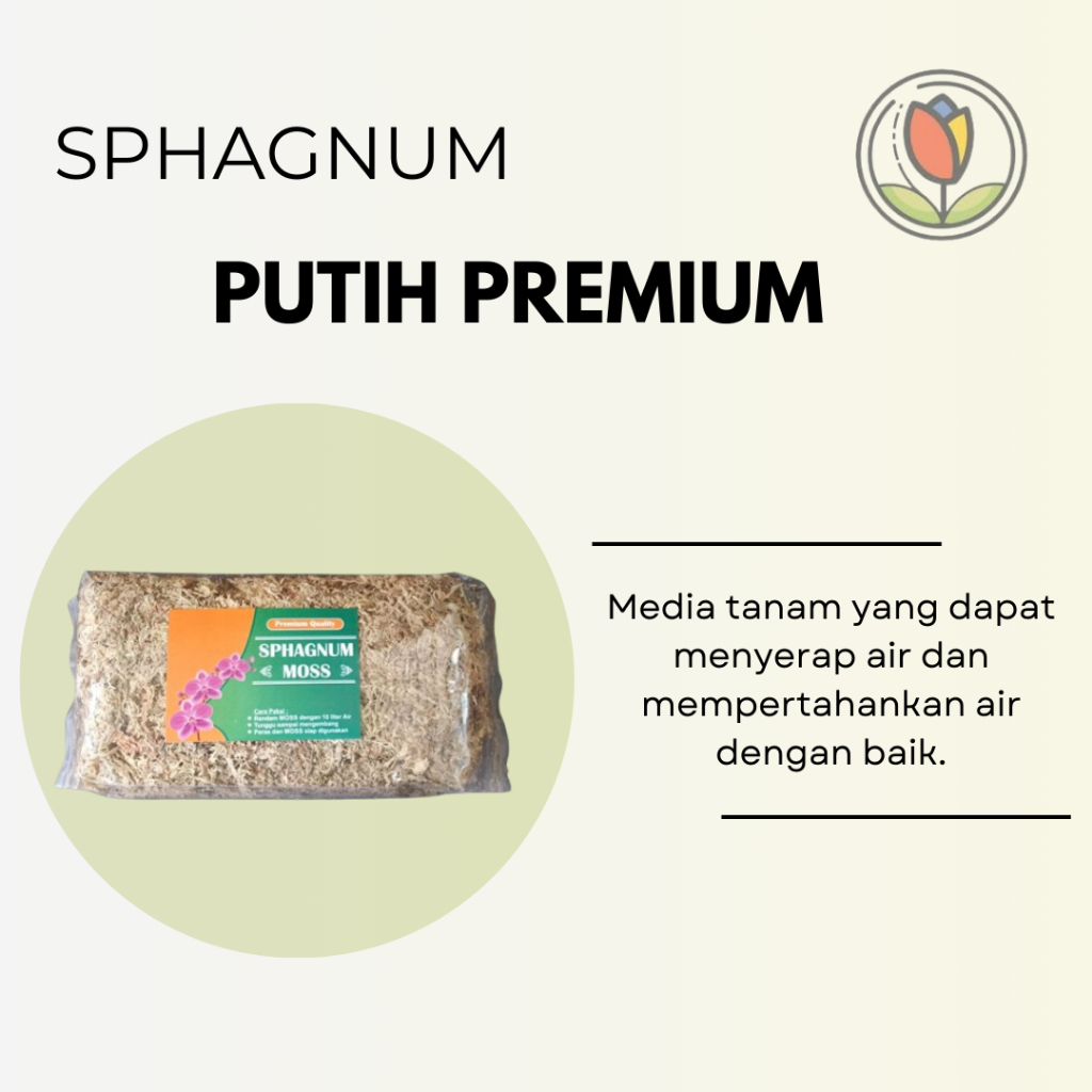 Jual Media Tanam Anggrek | Sphagnum Moss Putih Premium | Shopee Indonesia