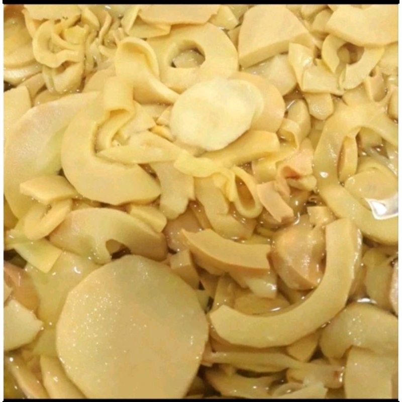 Jual Rebung / Tunas Bambu Mentah Segar 1KG | Shopee Indonesia