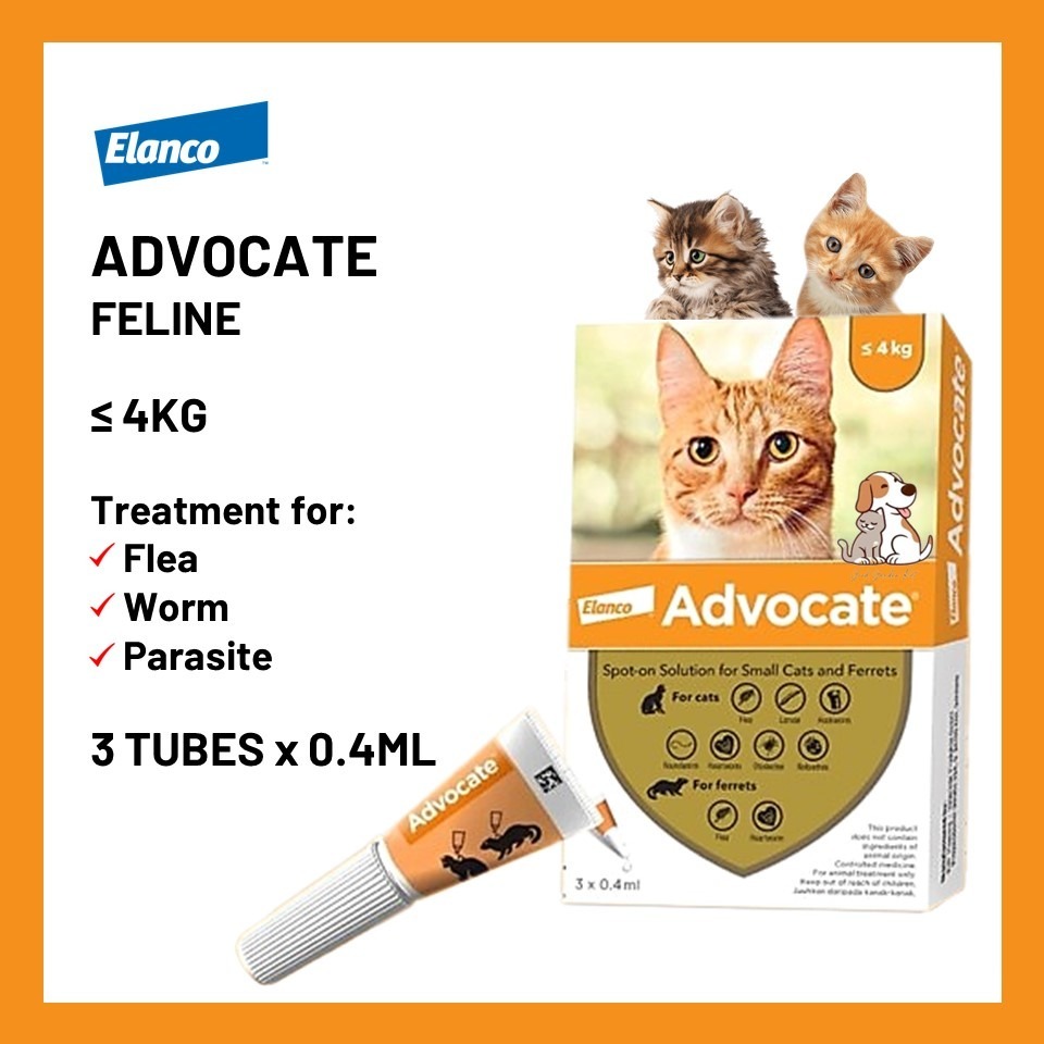 Jual Elanco Advocate for Cat, Tetes Anti Kutu - parasit - Cacing untuk ...