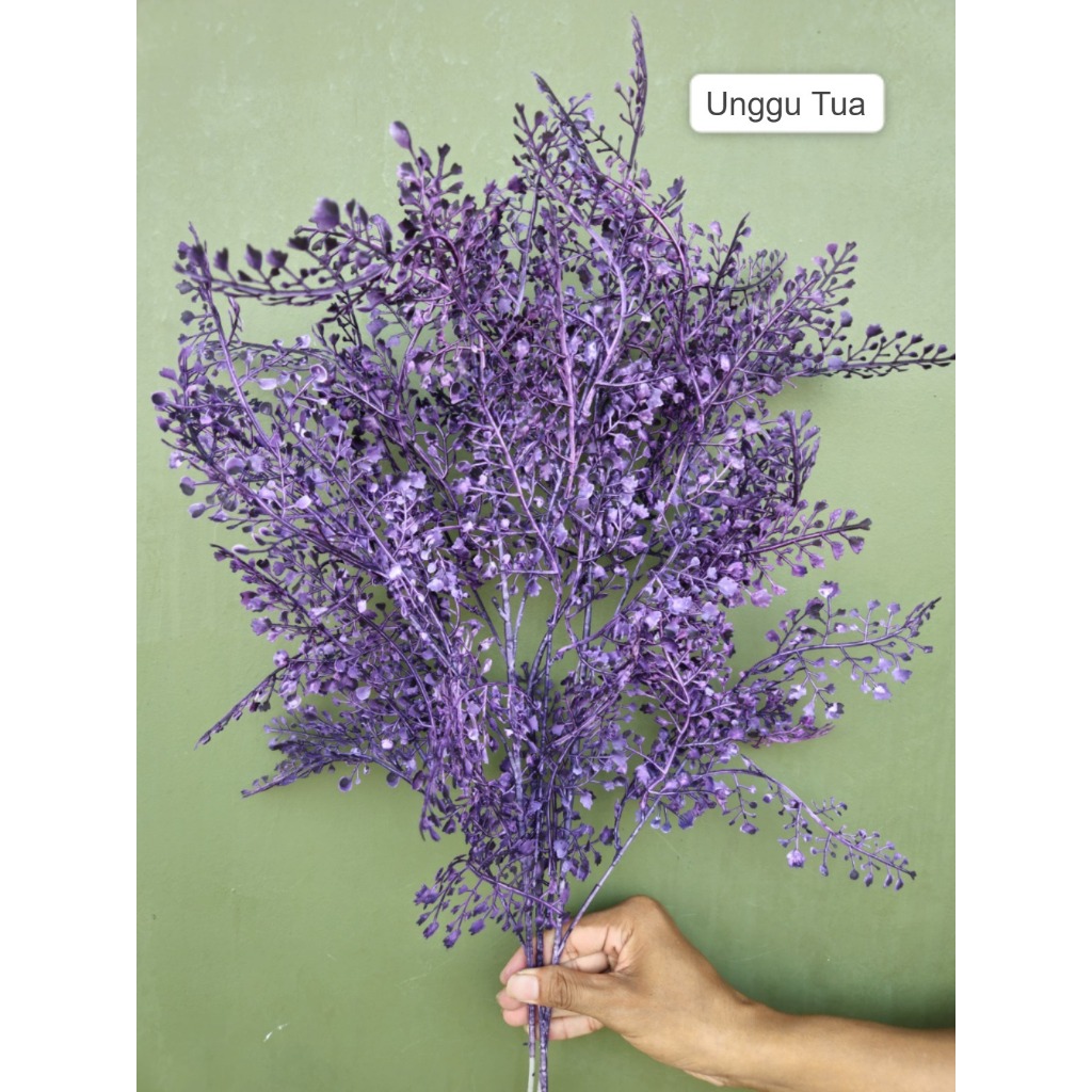 Jual Bunga artificial Daun Cemara Asparagus Tangkai Panjang | Shopee ...