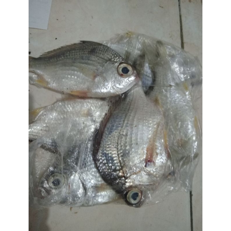 Jual Ikan anyi anyi 500g | Shopee Indonesia