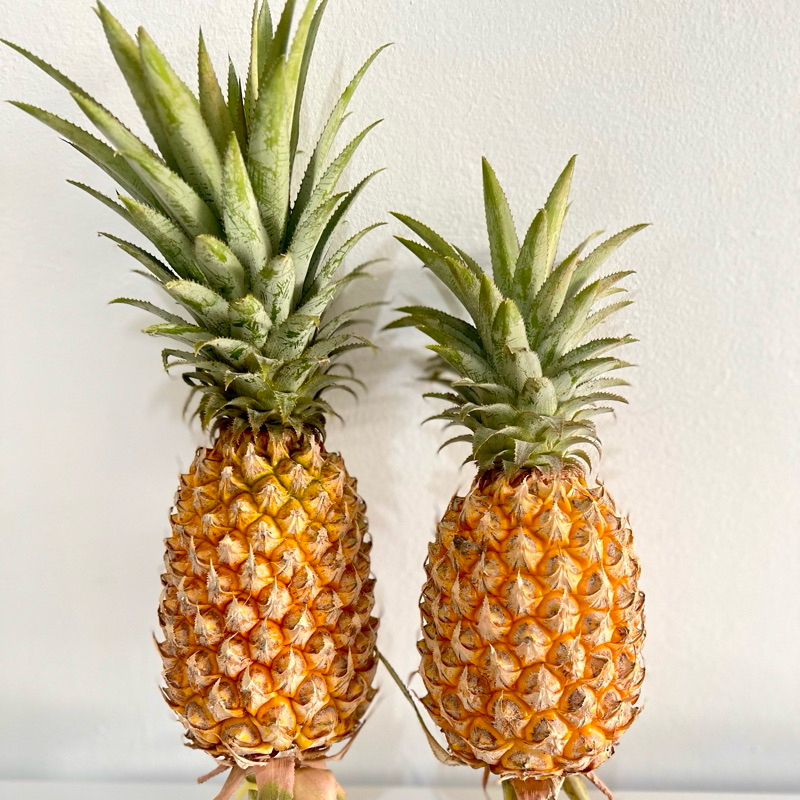 Jual Nenas madu tanpa pupuk kimia | Buah nanas madu | Nenas madu ...