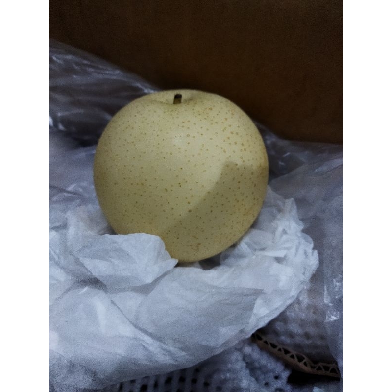 Jual buah pear segar 1kg | Shopee Indonesia