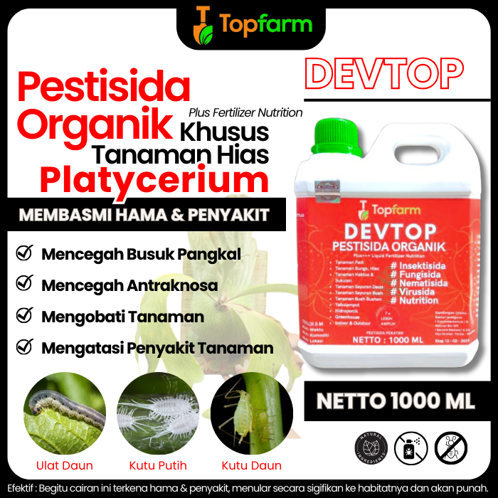 Jual Obat Tanaman Hias / Obat Hama Daun Platycerium / Obat Platycerium ...
