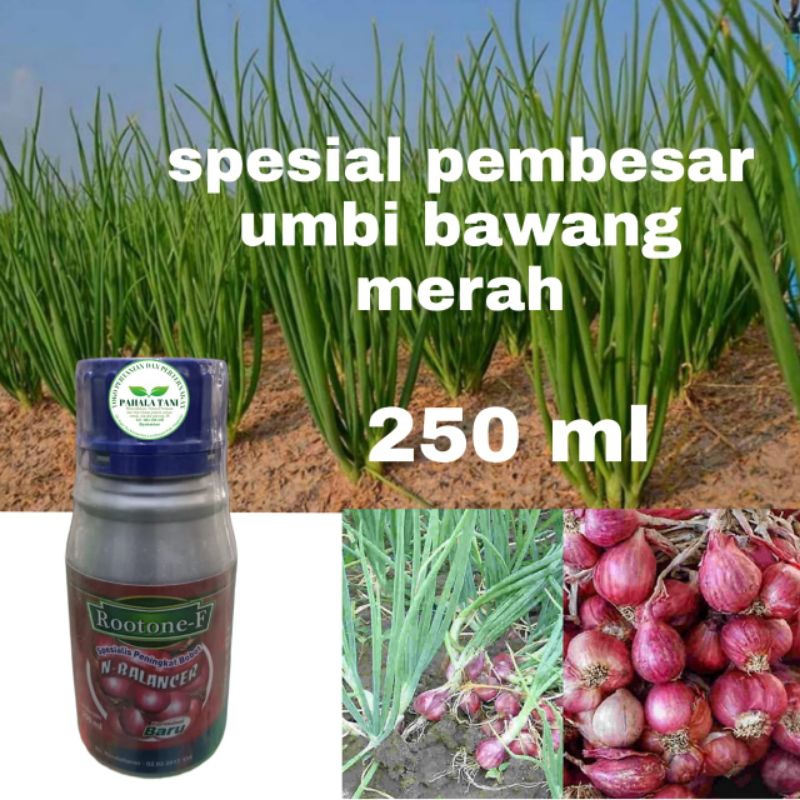 Jual Rootone-F/N-BALANCER/zpt organik/unsur hara/unsur mikro/pembesar ...