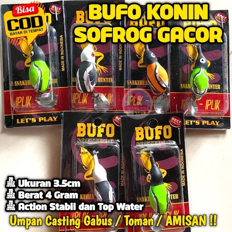 Jual BUFO KONIN / SOFROG BUFO / KODOK BUFO / BUFO KOCOLAN / SOFROG ...