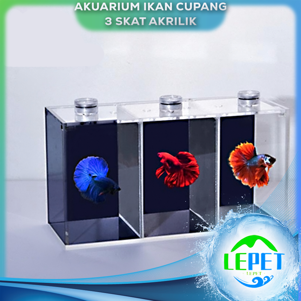 Jual LEPET Akuarium Ikan Cupang 3 skat / Tempat Ikan Kecil Akrilik ...