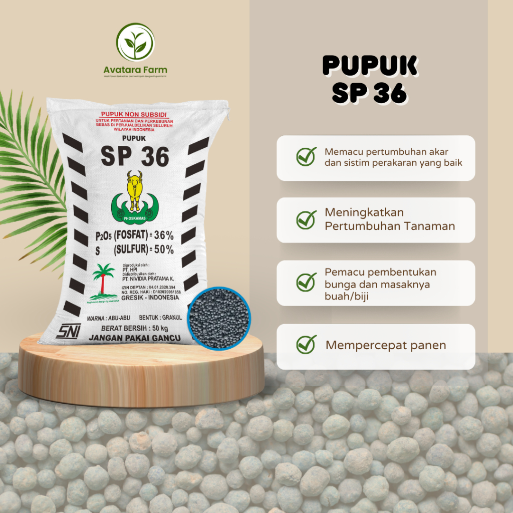 Jual Pupuk SP-36 Repack 5 Kg Penyubur dan Pembenah Tanah (Non Subsudi ...