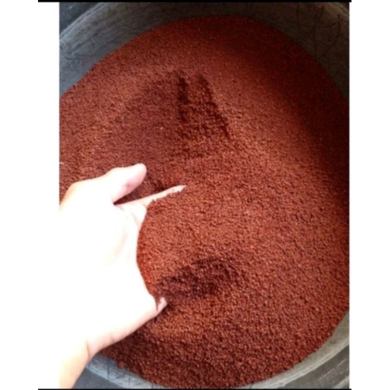 Jual Pasir malang merah aquascape aquarium halus 0,5m 1KG/pasir laut ...