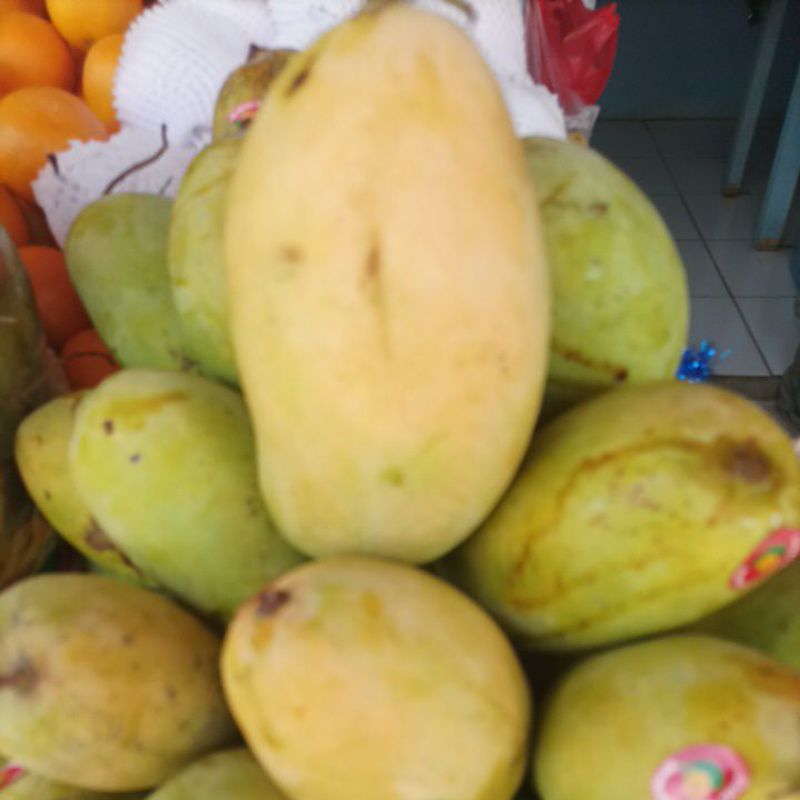 Jual manga budi raja super manis | Shopee Indonesia