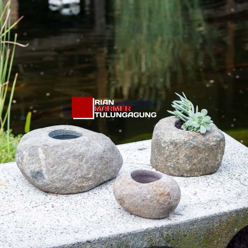 Jual 5 Pot tanaman natural ukuran kecil batu sungai | Shopee Indonesia