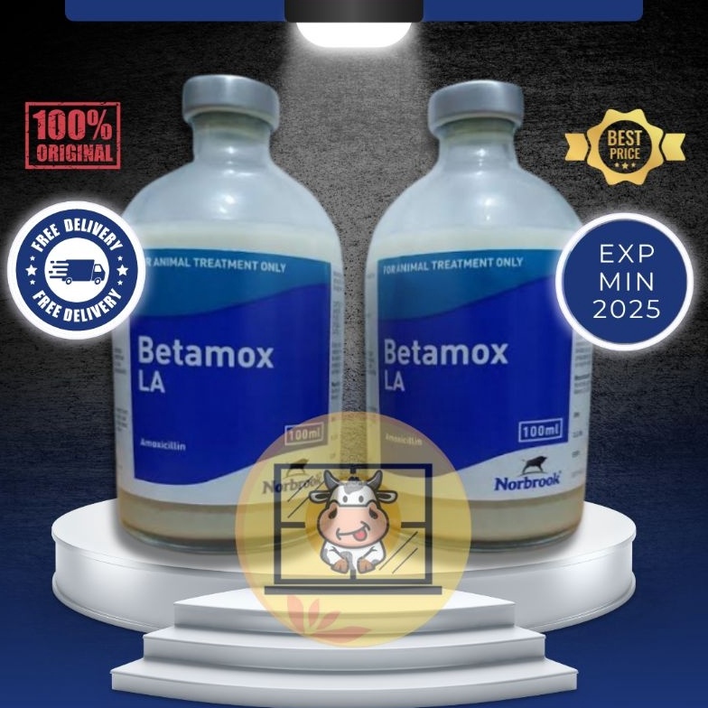 Jual Betamox LA 1ml Antibiotik Untuk Pencernaan Pada Hewan KODE A7T7 ...