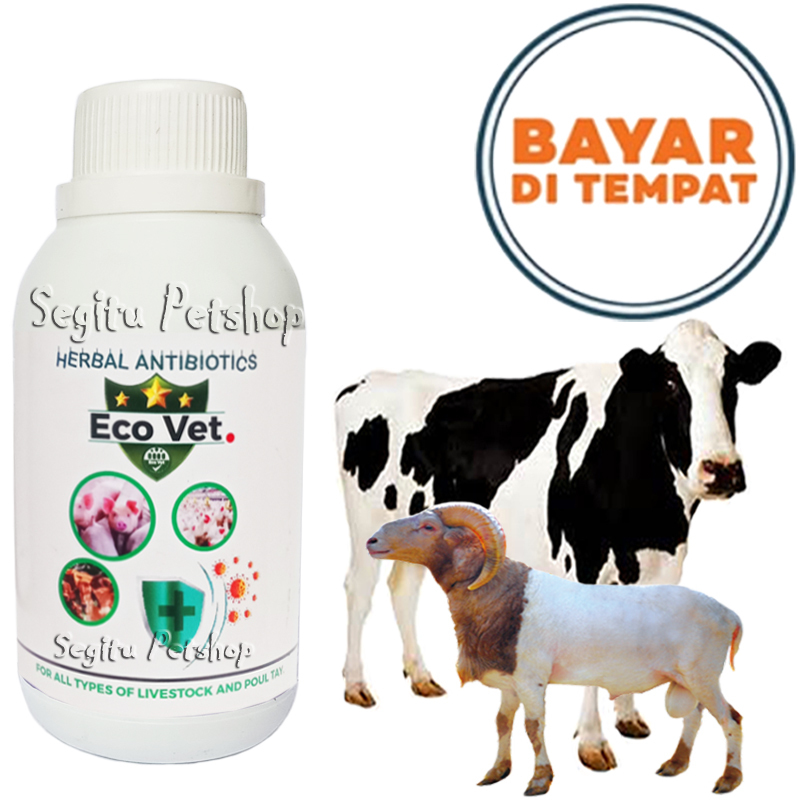 Jual ANTIBIOTIK SAPI SAKIT DIARE PERNAPASAN PENAMBAH NAFSU MAKAN ECOVET ...