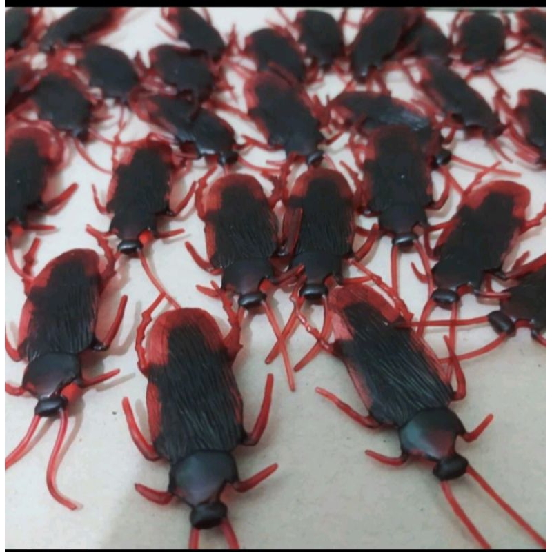 Jual mainan kecoa karet mirip asli | Shopee Indonesia