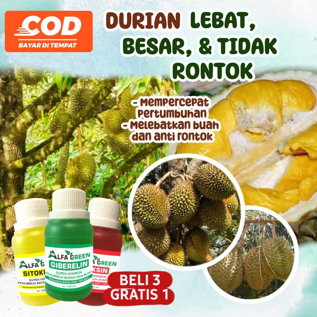 Jual Pupuk Cair Booster Durian Agar Supaya Subur Cepat Berbuah Besar dan Tidak Rontok | Super ...