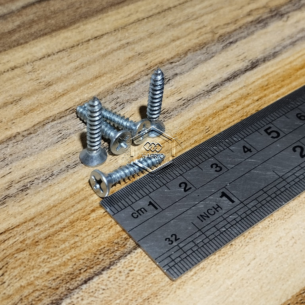 Jual SEKRUP SKRUP FH FAB F+AB TAPPING 6X3/4 PANJANG 2CM TAPING SCREW 6 ...