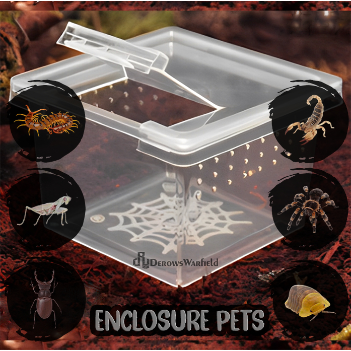 Jual Enclosure Box Tarantula Enclosure Kalajengking Box Isopod ...