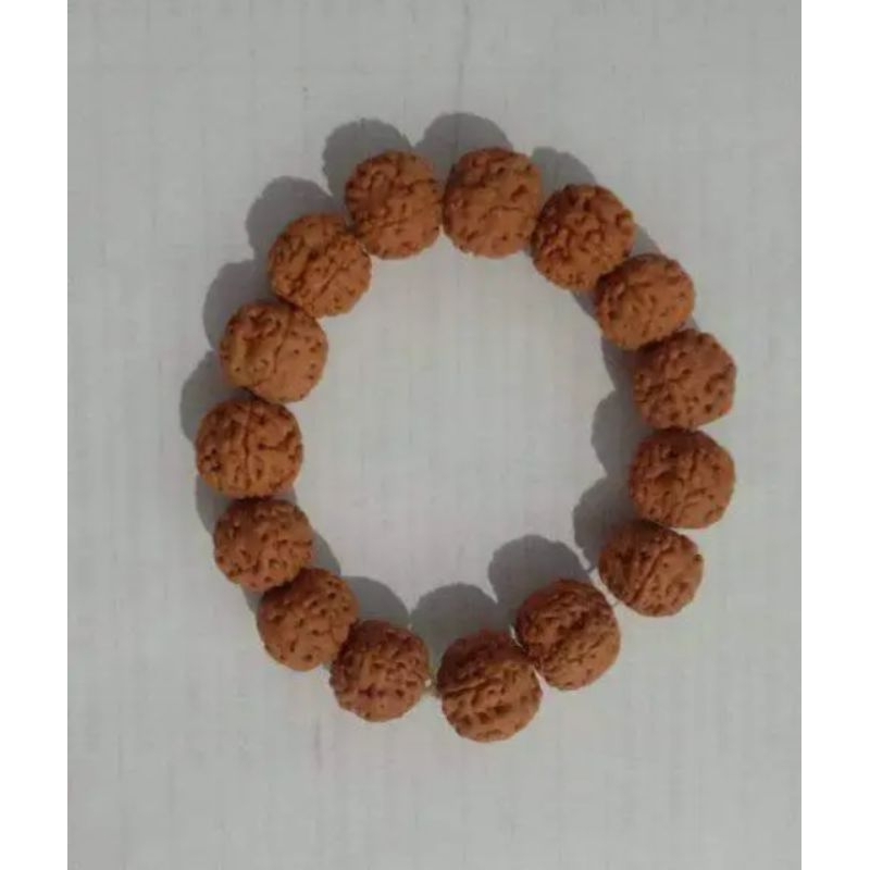 Jual Gelang Jenitri Genitri Rudraksha Original Size Biji 11-15Mm ...