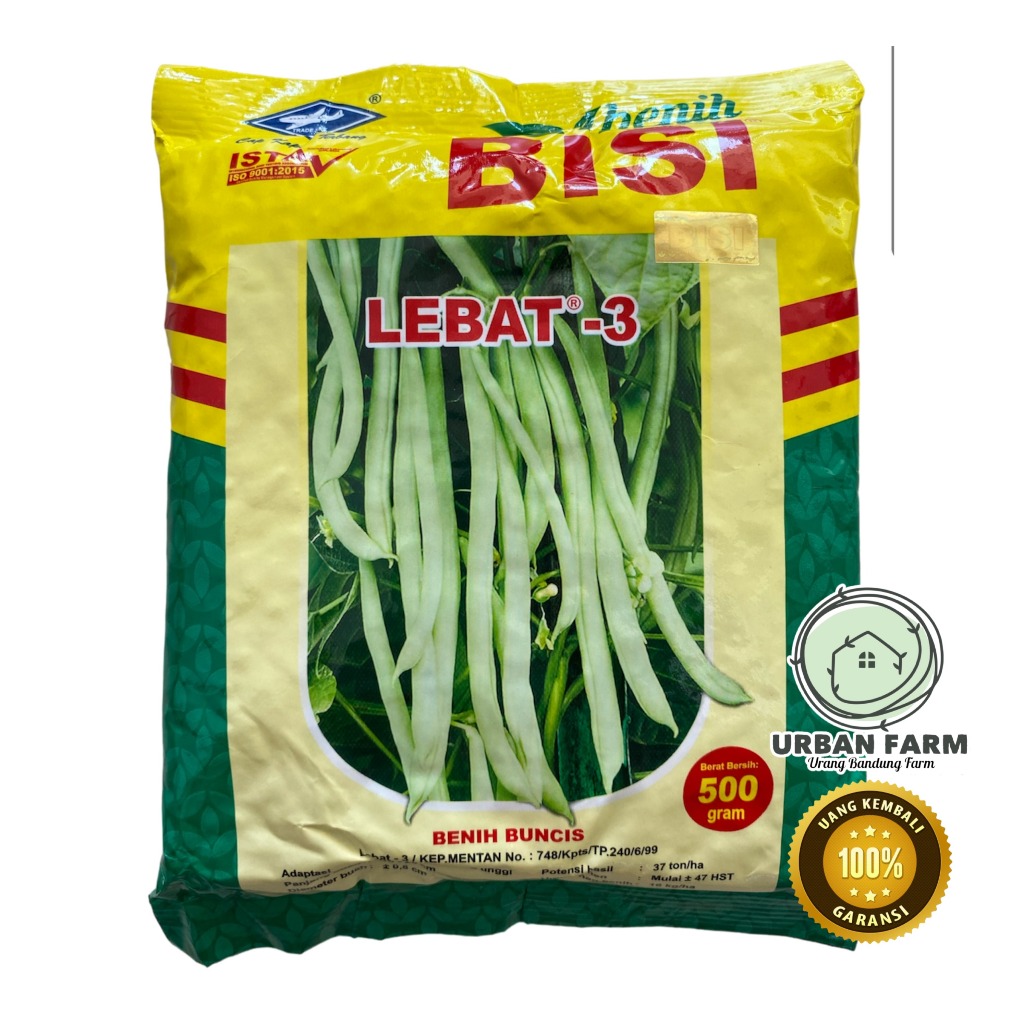 Jual Benih Buncis LEBAT 3 500gram - Cap Kapal Terbang Benih Buncis ...