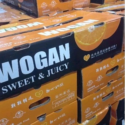 Jual Jeruk Wogan premium 1 dus (8kg) | Shopee Indonesia